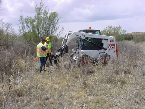 Integrated Vegetation Management | NMDOT