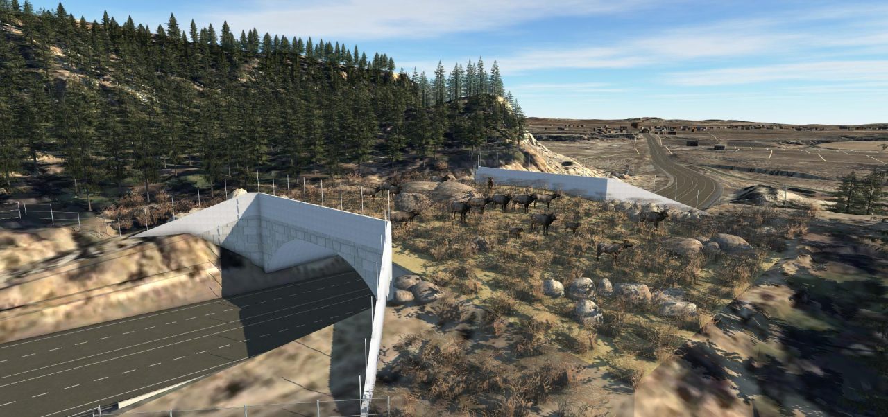 U.S. Highway 550 Wildlife Crossing Project | NMDOT