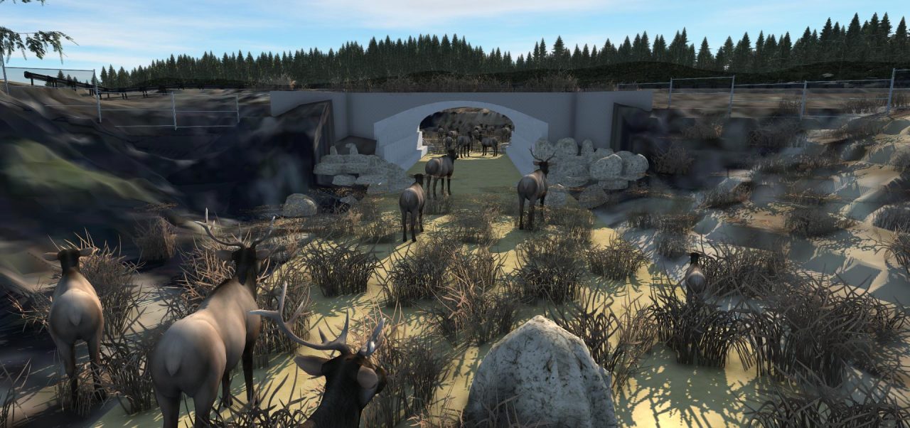 U.S. Highway 550 Wildlife Crossing Project | NMDOT