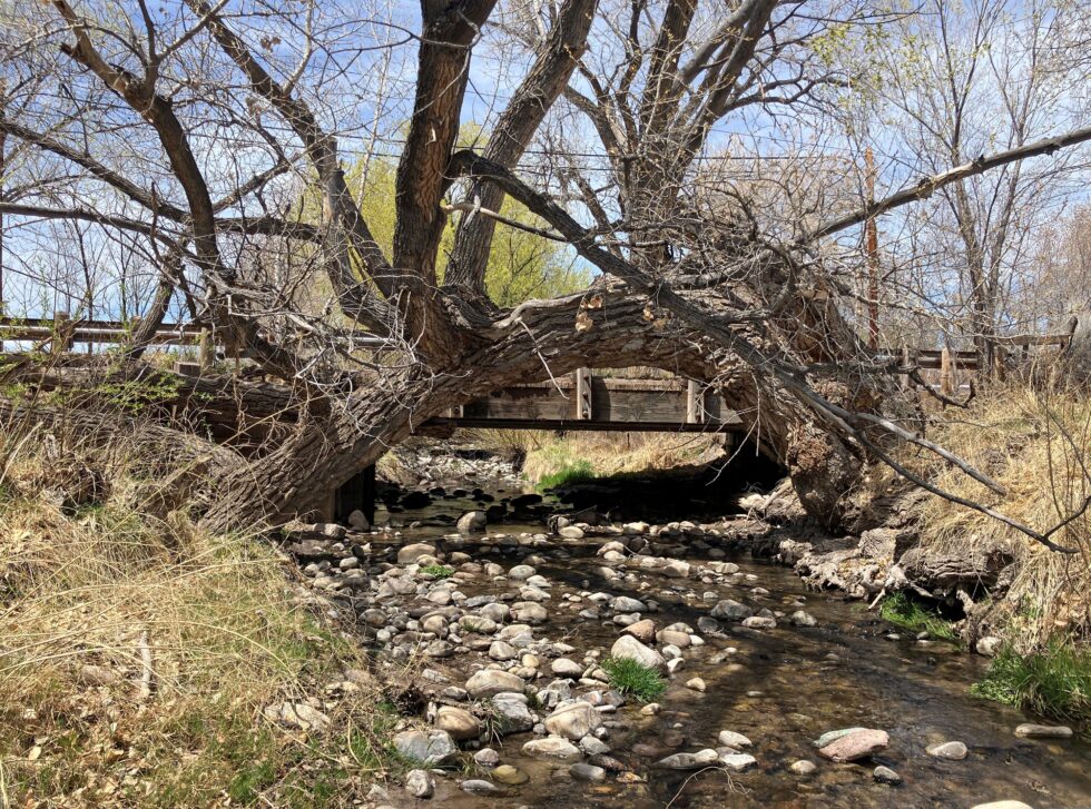 NM 554 El Rito Bridge Replacement, CN 5101287 - NMDOT